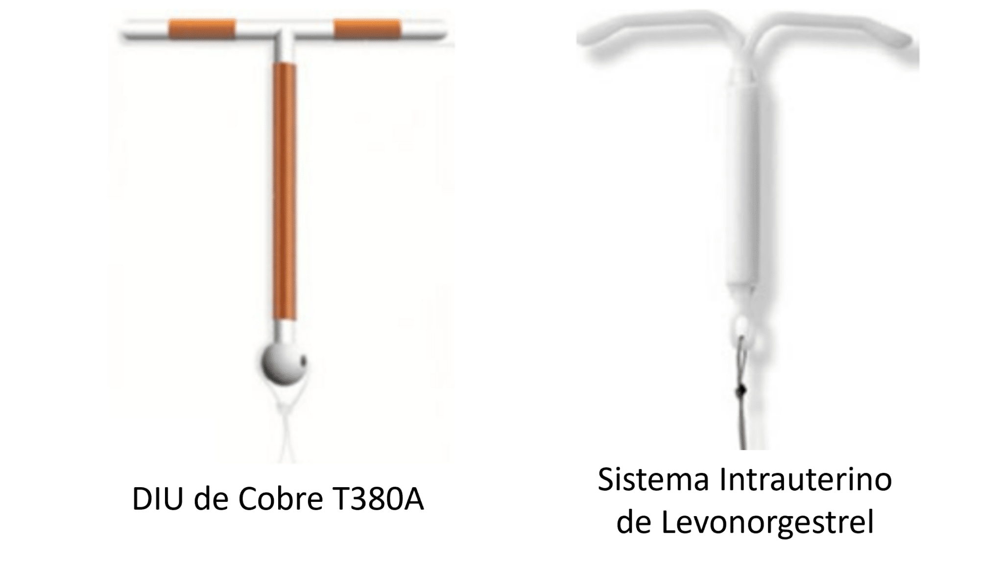 Principais Questões sobre DIU de Cobre x DIU Hormonal: diferenças e ...